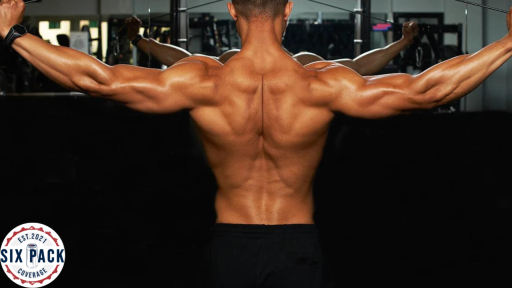 Best Back Workouts for Putting on Size - Six Pack Coverage